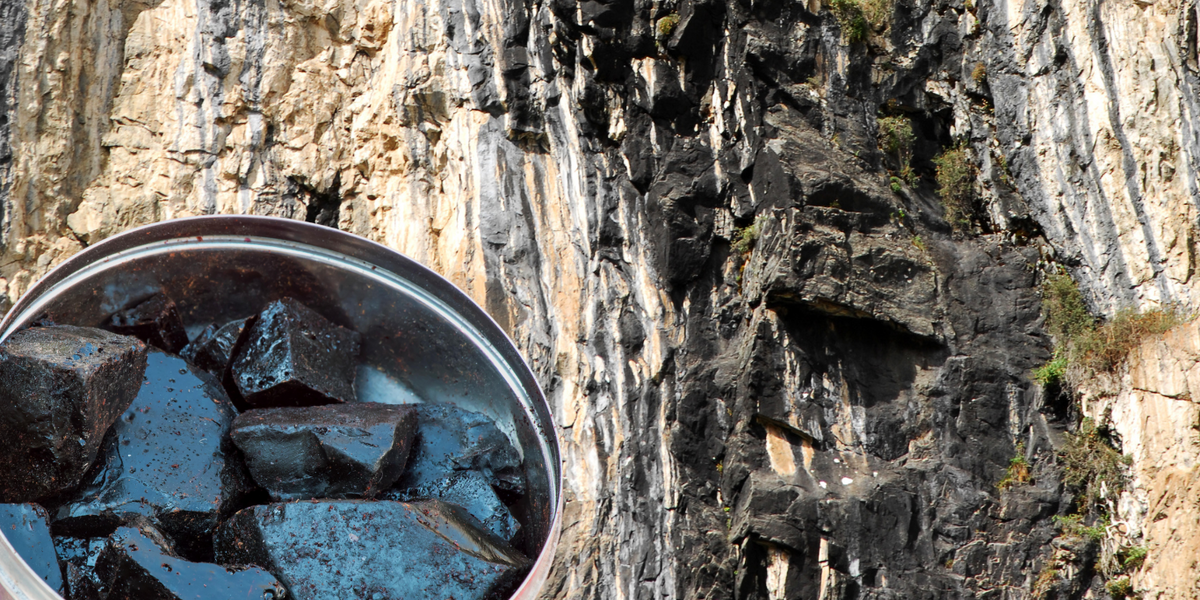 Shilajit - Nature's Gift to Your Wellness Journey– CogniTune