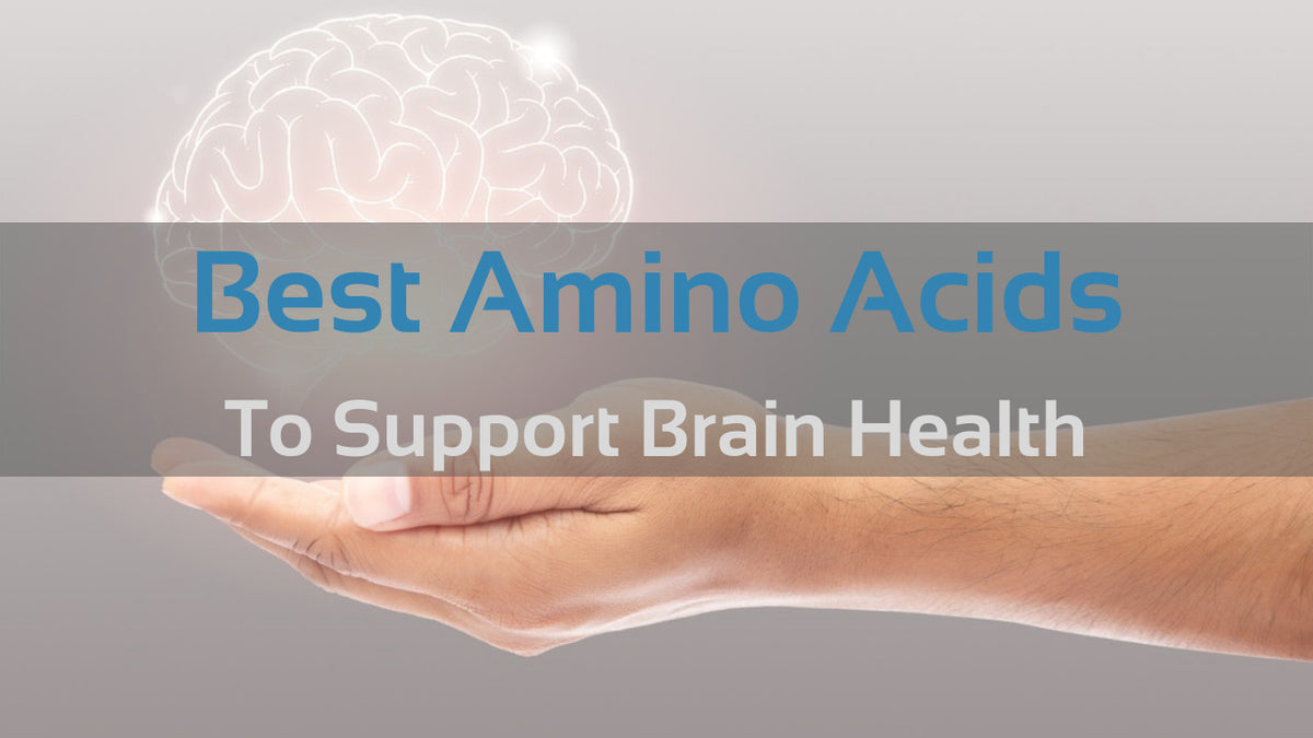 The Best Amino Acids for Brain Health– CogniTune