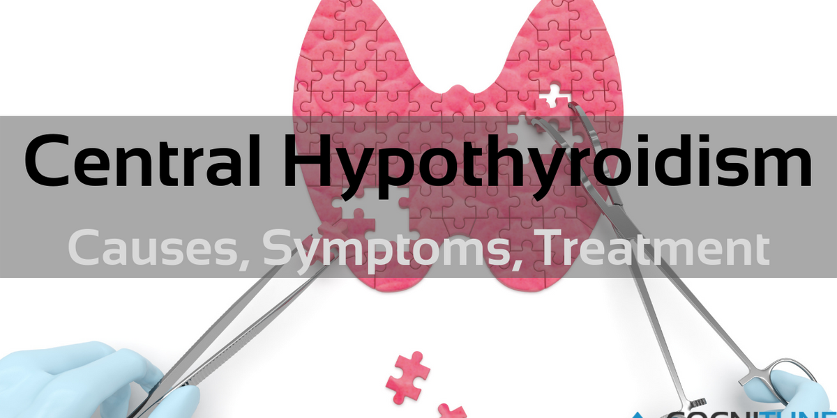 Central Hypothyroidism: Causes, Symptoms, and How to Treat It– CogniTune